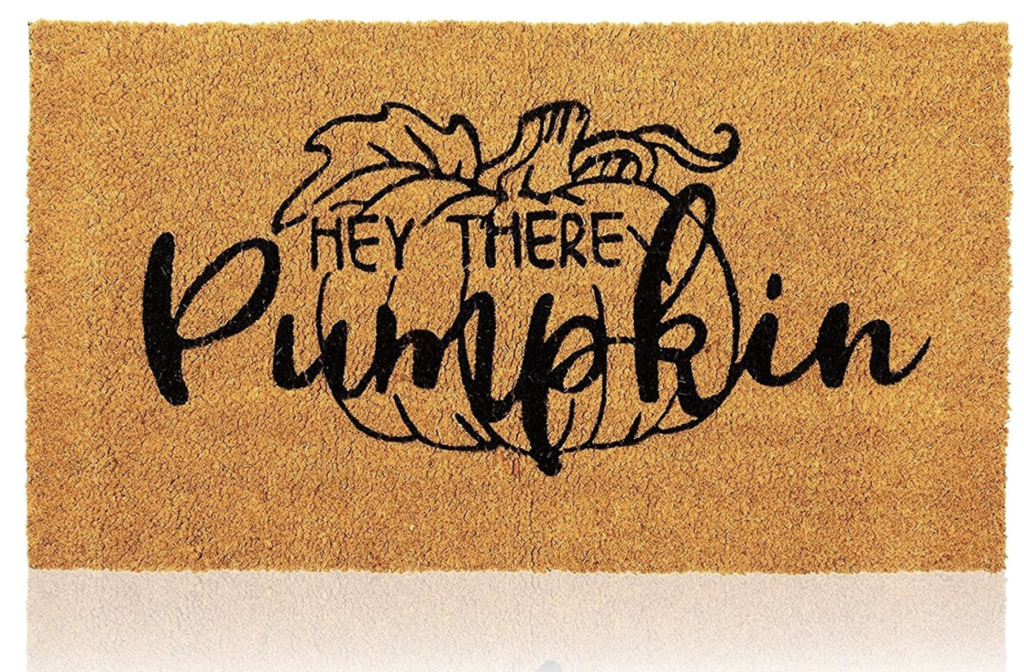 9+ INSANELY CUTE FALL DOORMATS THAT YOU WILL LOVE - By Annabelle Rose