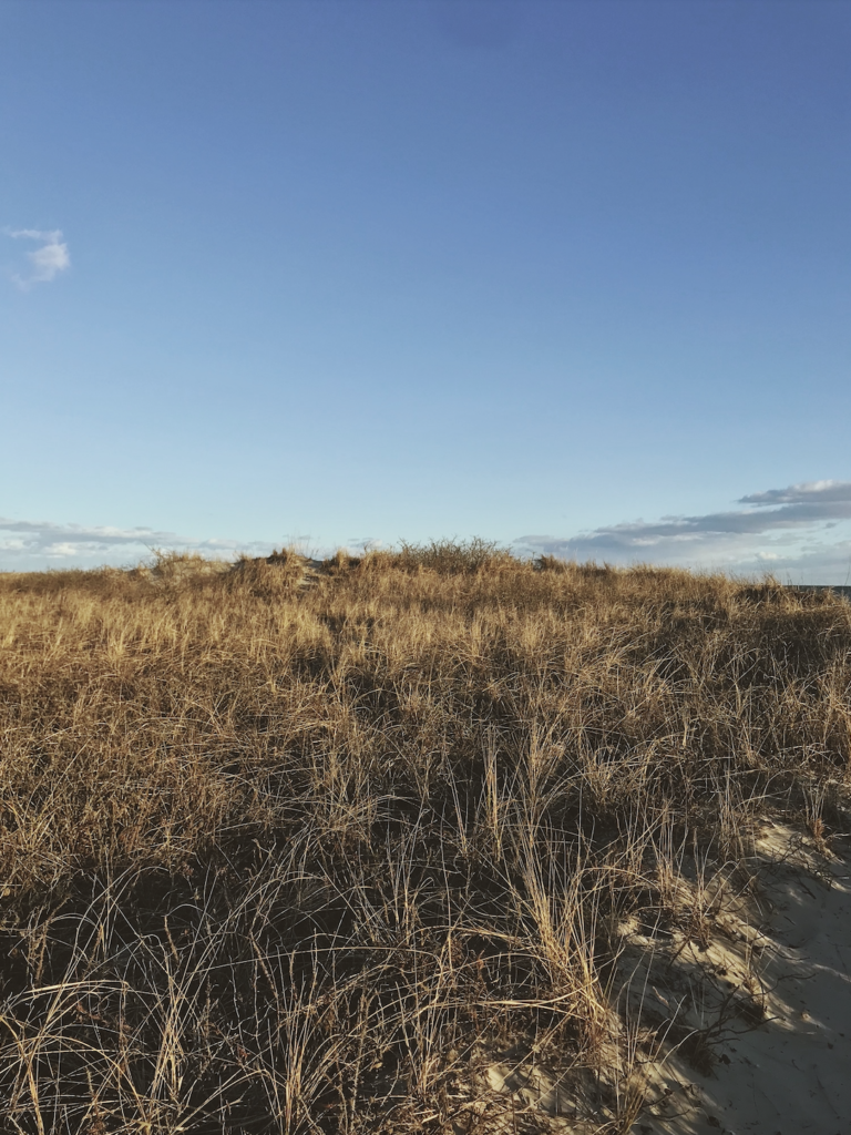 ALL ABOUT THE BEST PLACE ON EARTH: BARNSTABLE CAPE COD