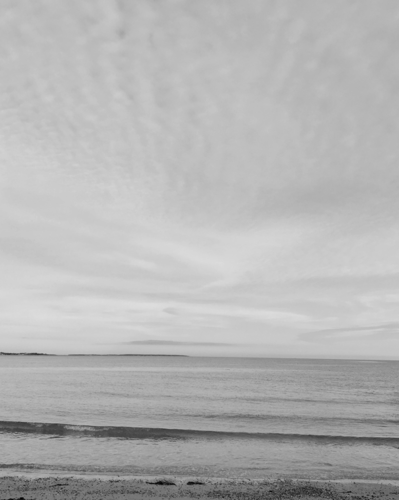 Free Coastal Black and White Wall Art Printable to Instantly Elevate ...