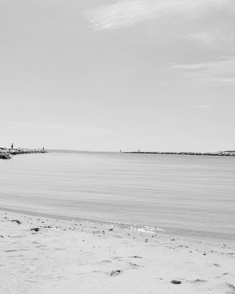 Free Coastal Black and White Wall Art Printable to Instantly Elevate ...