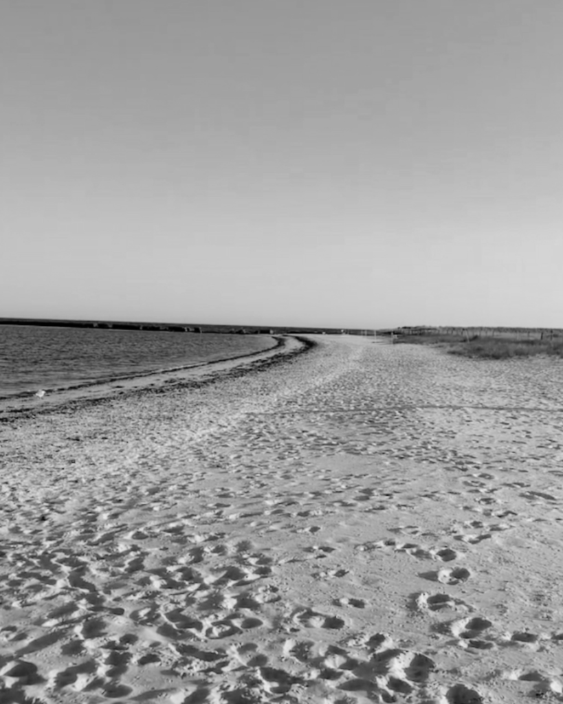 Free Coastal Black and White Wall Art Printable to Instantly Elevate ...